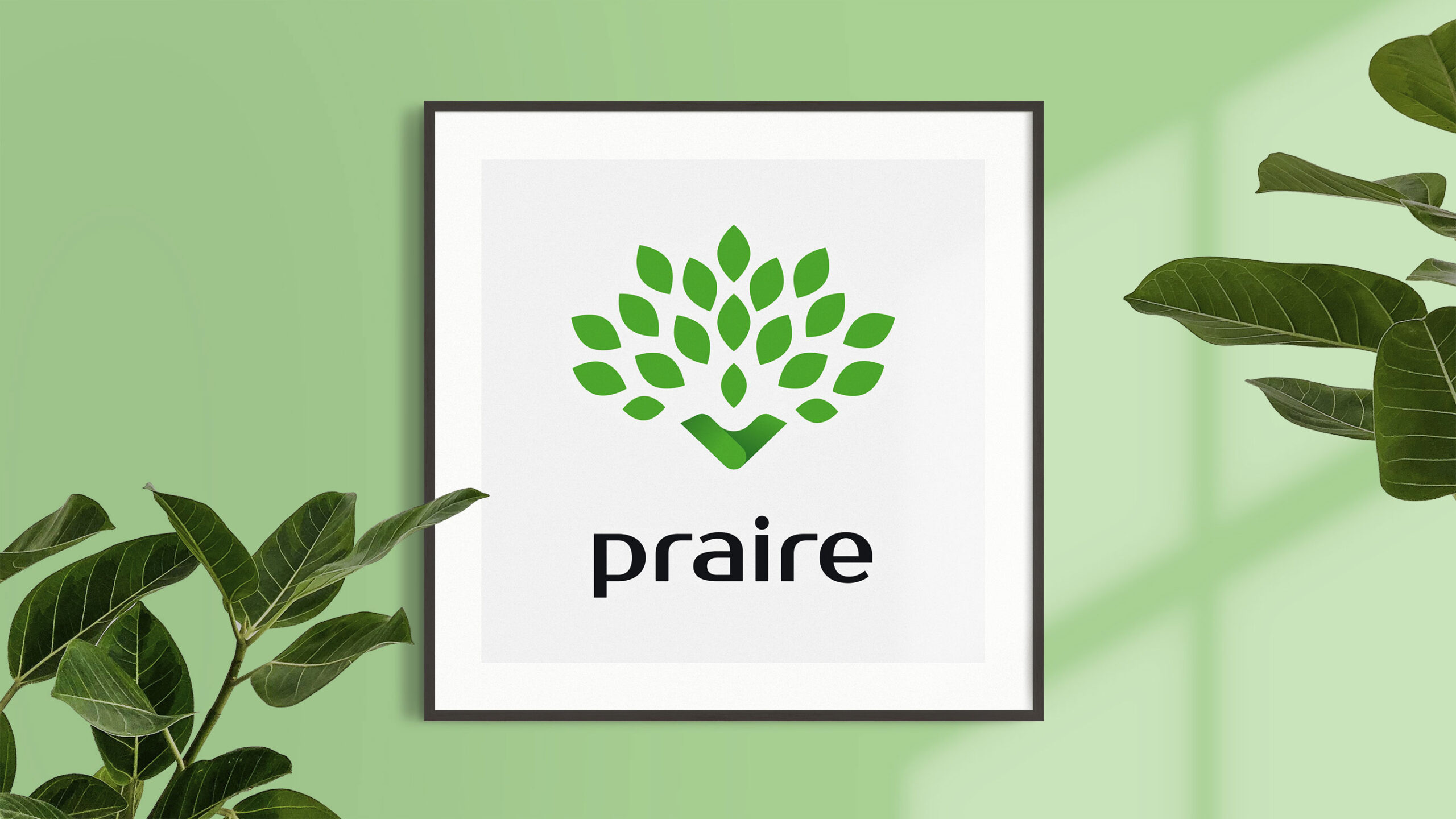 Kurumsal Kimlik Tasarımı - Obsidyen Kreatif